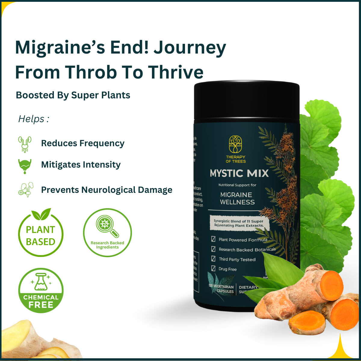 Mystic Mix: Advanced Nutritional Support for Migraine Wellness