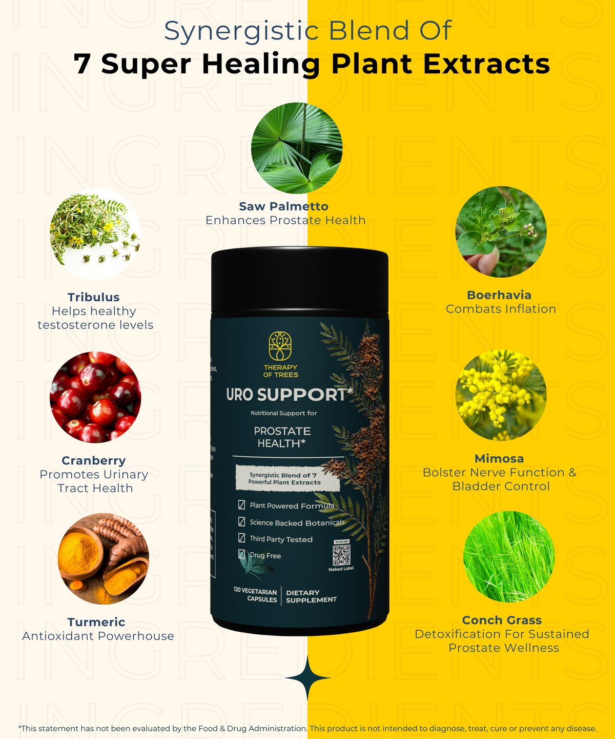 Uro Support: Advanced Support for Prostate Health and Urinary Wellness