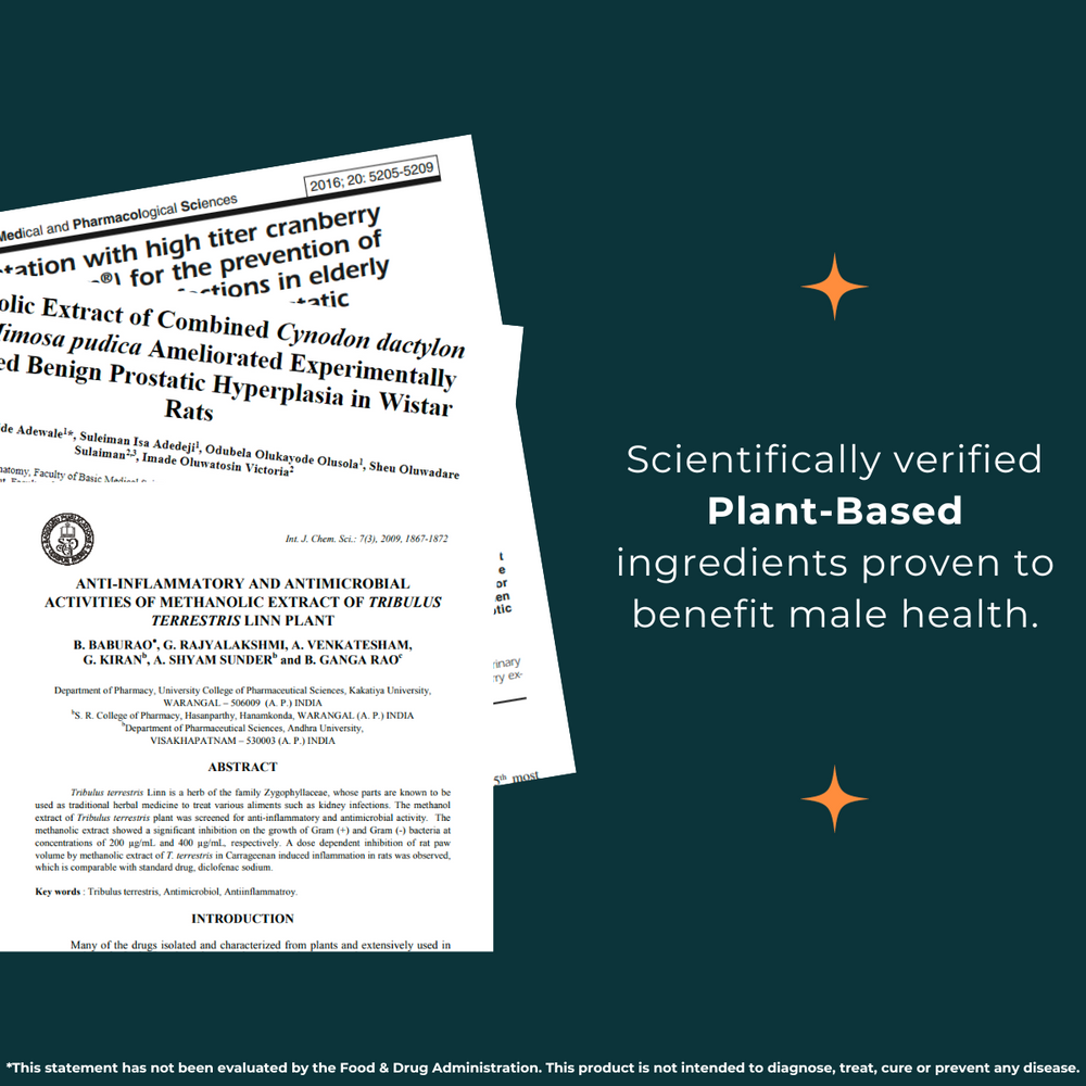 Uro Support: Advanced Support for Prostate Health and Urinary Wellness