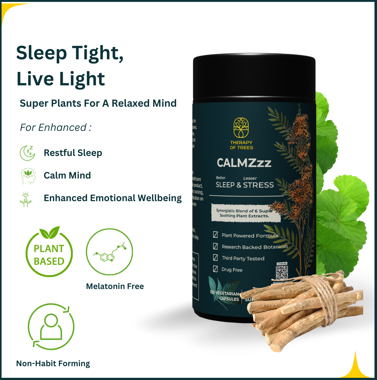 CALMZzz : Sleep and Anxiety Support – Nature's Answer for Rest & Relax